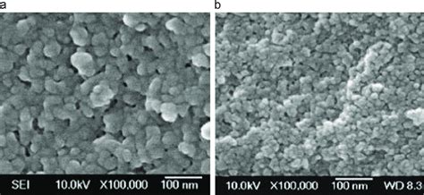 Scanning Electron Microscope Sem Photos Of A Silica Gel And B Download Scientific Diagram
