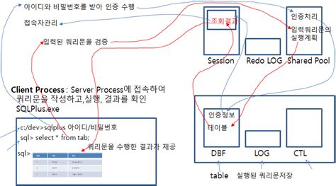 Oracle Dbms 구조 Sqlplus에서 Oracleservice 가동 By 김르르 Medium