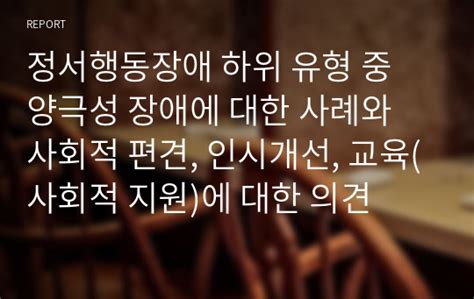 정서행동장애 하위 유형 중 양극성 장애에 대한 사례와 사회적 편견 인시개선 교육사회적 지원에 대한 의견 레포트