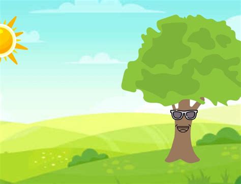 3 Types Of Tree Root Systems A Plus Tree