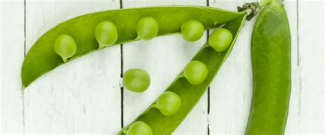 Green Bean Allergy Symptoms Signs And Tests Check My Body Health Usa