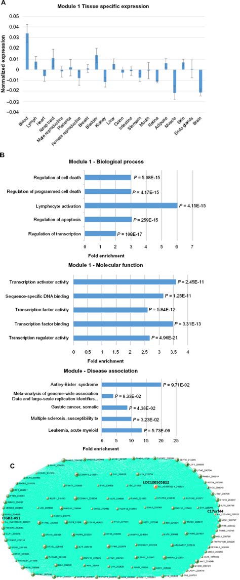 Expression Functional Term Enrichment And Network Visualization Of Download Scientific