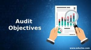 Audit Objectives Primary And Subsidiary Audit Objectives