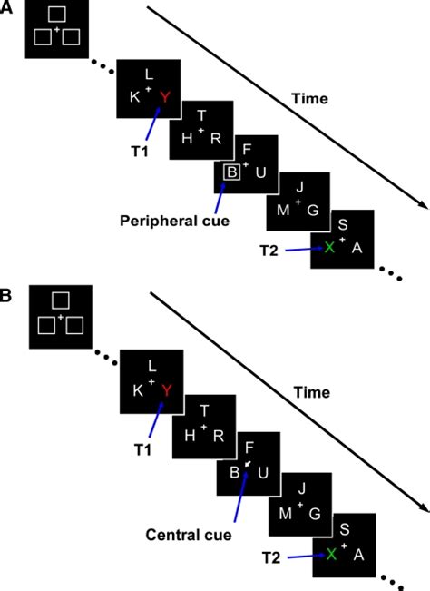 Schematic Representation Of RSVP For Experiments A And B