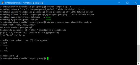 Database Access With Docker Docker Compose Tips And Tricks