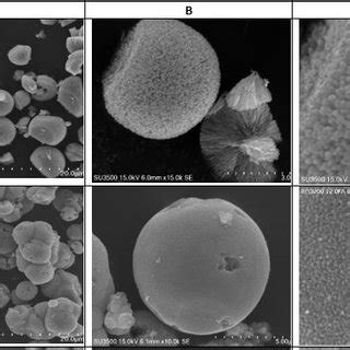Morphology Of Microsphere TiO Download Scientific Diagram
