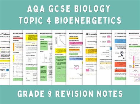 Topic Bioenergetics Photosynthesis Respiration Concise Revision Notes AQA GCSE Biology