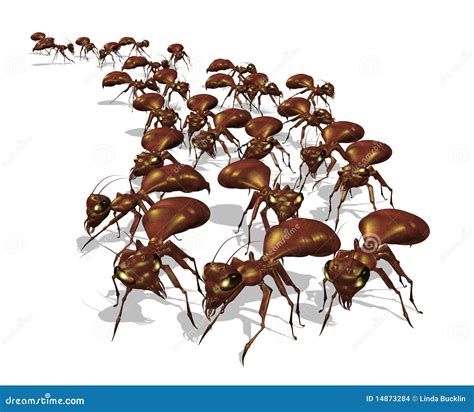 army ant stock illustrations 221 army ant stock illustrations vectors and clipart dreamstime