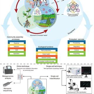 Pdf Ecosystem Microbiome Science