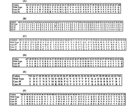 Amino Acid Sequences Of The Exons 8 9 11 13 15 And 17 Of C Kit Download Scientific Diagram
