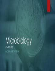 Understanding Microbial Ecosystems And Habitats Diversity Course Hero