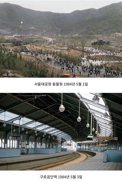 1980년대 서울특별시 사진모음 인스티즈instiz 이슈 카테고리