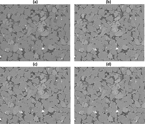 2d Slices Of Micro‐computed Tomography Micro‐ct Images Showing The Download Scientific