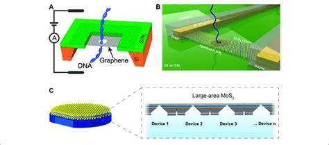 2d Nanopores For Dna Sequencing A Dna Translocating Through A