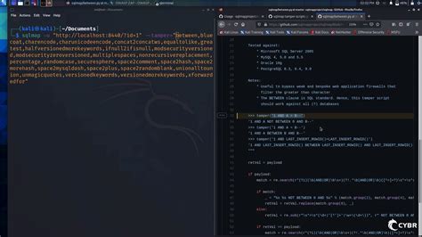 Sqlmap Tamper Script List At Cody Schlater Blog