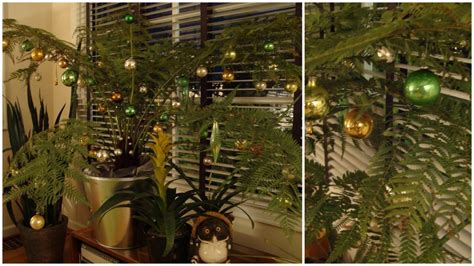 A Tree S A Tree Unless It S Not Plant Lust