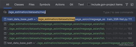 ssr net pytorch master anaconda 成功运行 有改cpu跑 anaconda用ssr csdn博客