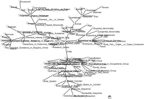 Class Hierarchy Graph For The Entity Related Part Of The Umls Semantic