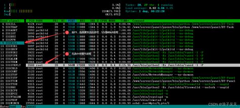 linux常用命令：htop（交互式进程查看器）【后台运行及查看状态命令】【top命令的升级版】 csdn博客