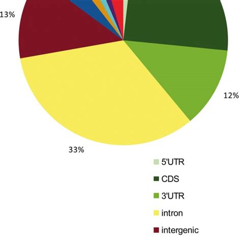 Genomic Features Of Transcripts For Which Genomic Locations Overlapped Download Scientific