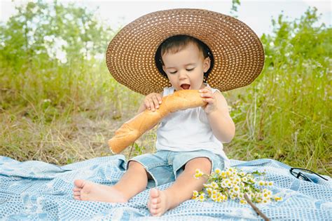 밀 짚 모자 피크닉에 담요에 앉아서 먹는 바게트에에서 사랑 스러운 유아 소년 귀여운에 대한 스톡 사진 및 기타 이미지 귀여운 담요 돗자리 Istock