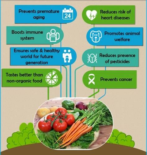 Organic Food Benefits