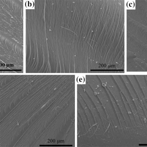 Recovery Process Of Carbon Fibers Reinforced Shape Memory Composite Smpc Download Scientific