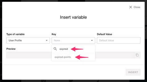 Insert Variable — Repro Documentation