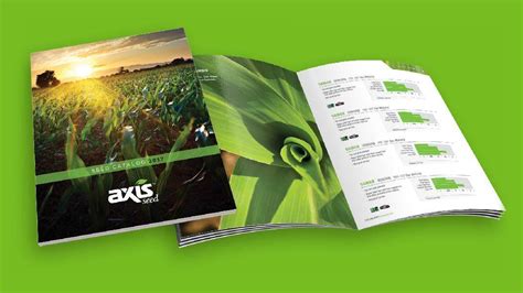 Home Axis Seed Complete