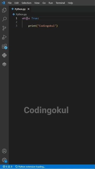 What Is While True In Python In Tamil Youtube