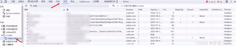前端必备技能：全面解析 Cookie 在 Web 开发中的应用前端cookie Csdn博客