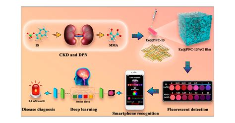 Portable Intelligent Fluorescence Sensing Platform For Dense Convolutional Network Capable