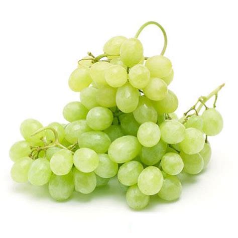 新疆马奶提（1公斤） 时鲜水果 所有产品 和乐康 上海 有机食品 有机食品网 有机生活网 有机食品送到家 有机食品配送 有机食品礼品配送