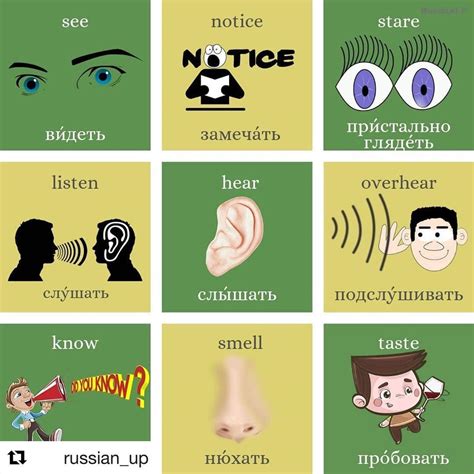 Repost Russian Up With Get Repost VERBS OF PERCEPTION