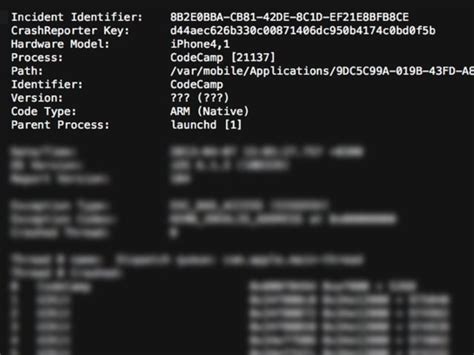 Did Your Mobile App Crash Successfully PDF