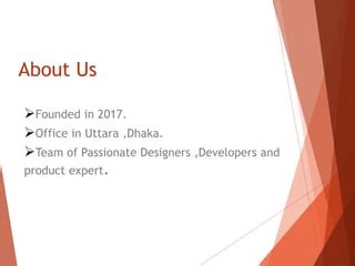 Custom Software Development PPTX