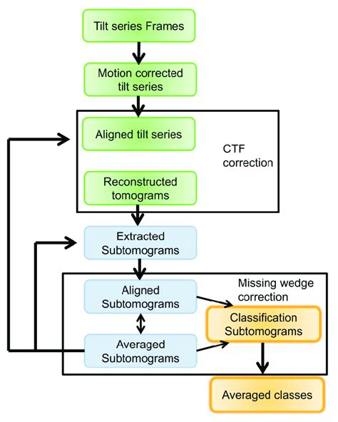 General Workflow For The Processing Of Tomograms And Sub Tomogram