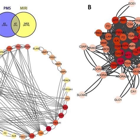 A Analysis Of The Potential Genes Of Pms For The Treatment Of Miri