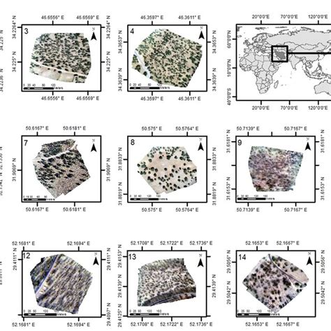 An Example Of Tree Crown Delineation With The Proposed Algorithm Download Scientific Diagram