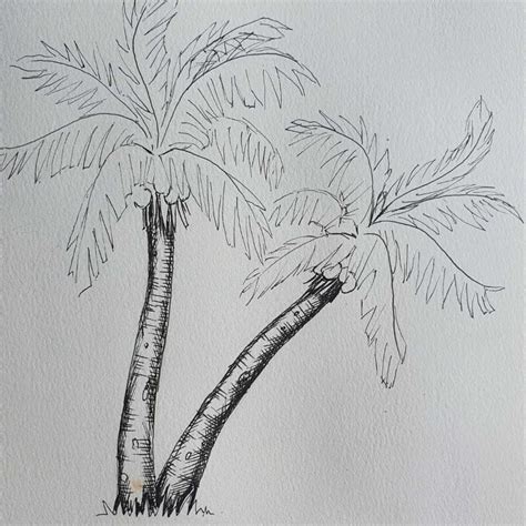 How To Draw A Palm Tree 12 Step Palm Tree Drawing Artsydee Drawing Painting Craft