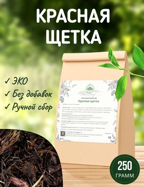 Красная щетка корень (250гр) - Родные Травы купить на OZON по низкой ...