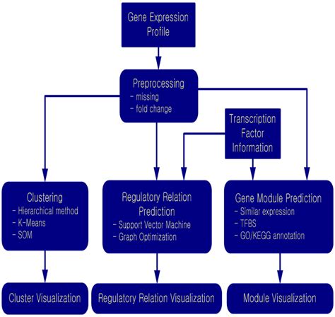 Xpressvista Is Composed Of Clustering Process Inferring Process For