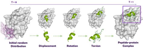 논문 리뷰 Non Linear Flow Matching For Full Atom Peptide Design