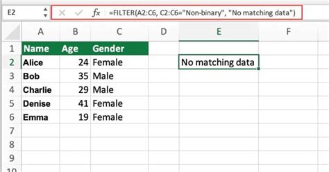 Excel Filter Function Sheet Leveller
