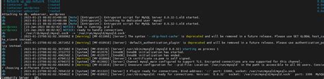 Mysql Wordpress Docker Composeyaml Get Error Error Establishing A
