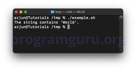 Bash Check If String Contains Substring