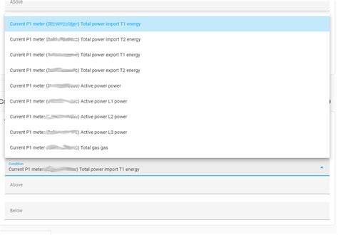 Installstion On Home Assistant Homewizard P1 How To Save Energy