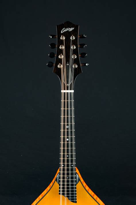 Collings Mt Gloss Top Honey Amber Engelmann Spruce And Flamed Maple Mandolin Down Home Guitars