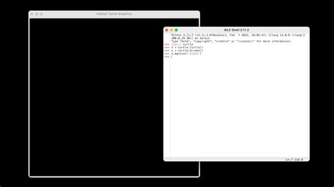 How To Create A Flower With Python