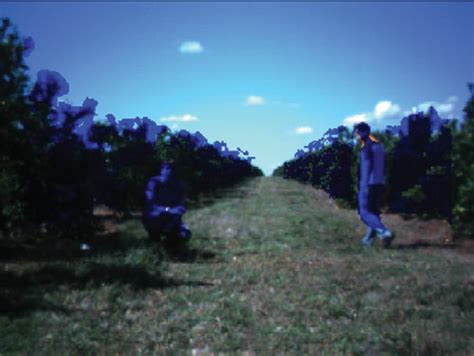 Comparison Between The Results Of The Full CPU Implementation And A Download Scientific